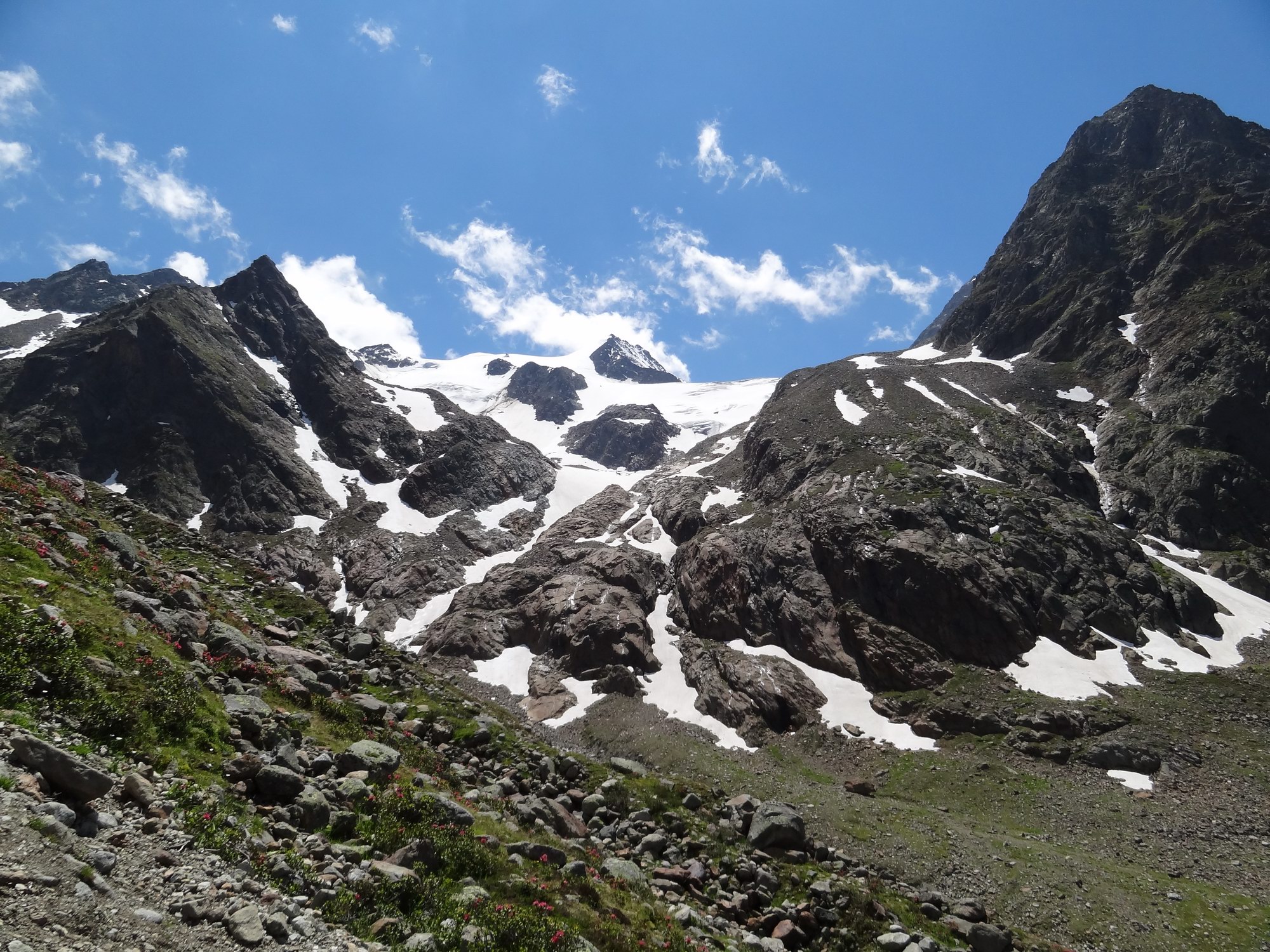 Wilder Freiger - Sulzenauhütte 2191m